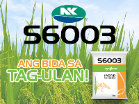 S6003 - Variety Rice | Syngenta Philippines