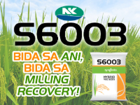 S6003 - Variety Rice | Syngenta Philippines