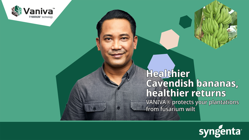 Syngenta Philippines | Bringing Plant Potential to Life